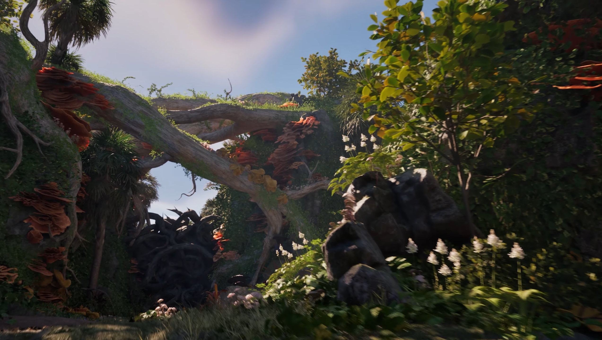 Avowed: First-Person RPG Level & Quest Design – Berto Ritger
